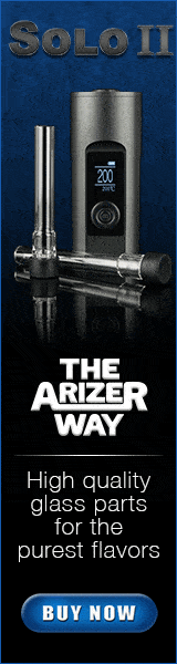 Strainreview: ACDC CBD Strain - Strain Reviews - Hanf Magazin