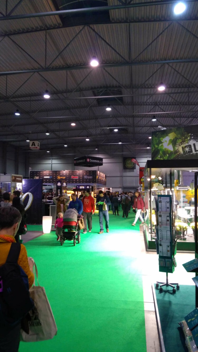 Cannafest 2018 - Ein Rückblick - Hanf Messen - Hanf Magazin