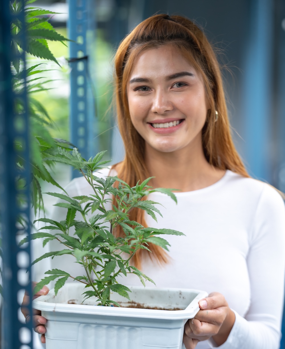 Hanf auf dem Balkon – legal, sicher, sinnvoll? - Marihuana Growing ...