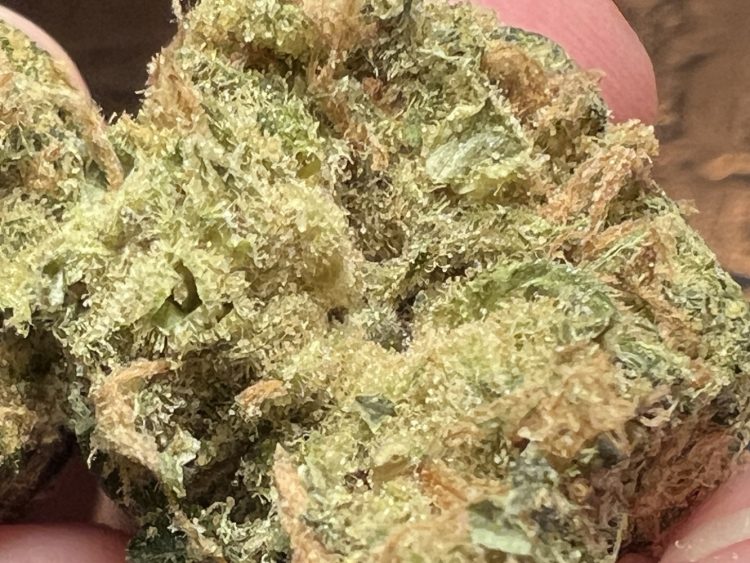 Zoiks 26/1 LK OG Lime Kushレビュー | 医療用大麻 | Hanf Magazin
